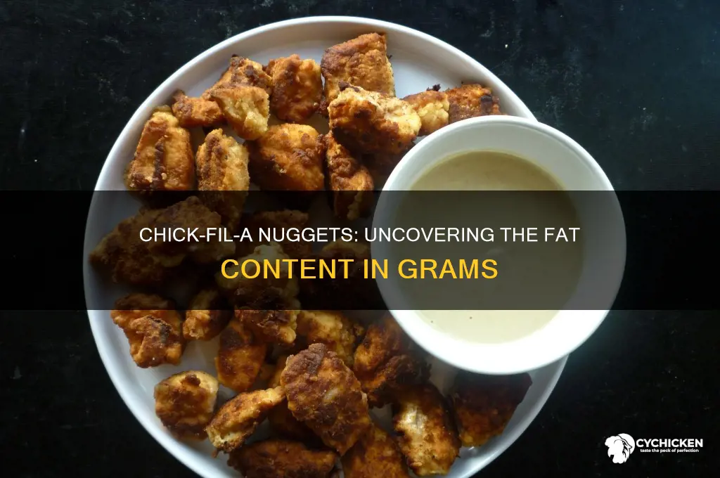Chick-Fil-A Nuggets: Uncovering The Fat Content In Grams | CyChicken