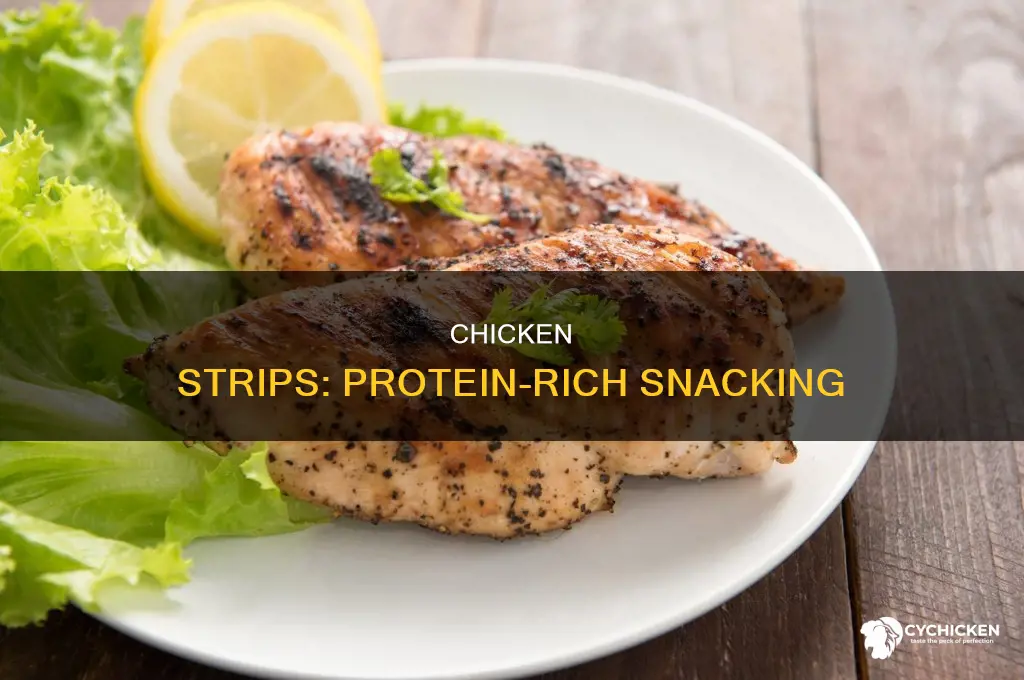 Chicken Strips: Protein-Rich Snacking | CyChicken
