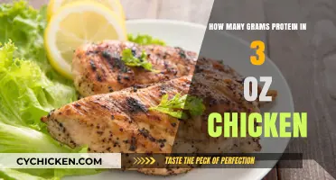 Chicken Strips: Protein-Rich Snacking | CyChicken