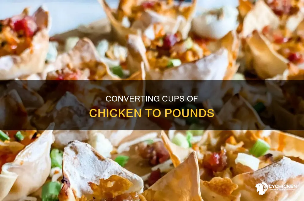 Converting Cups Of Chicken To Pounds | CyChicken