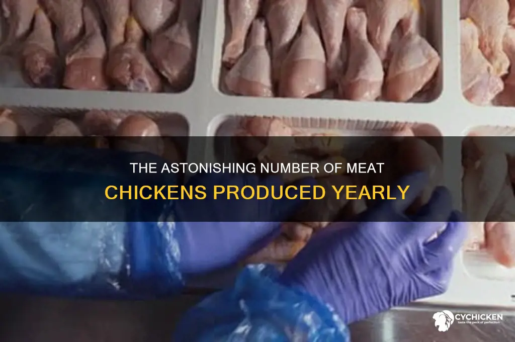 The Astonishing Number Of Meat Chickens Produced Yearly | CyChicken