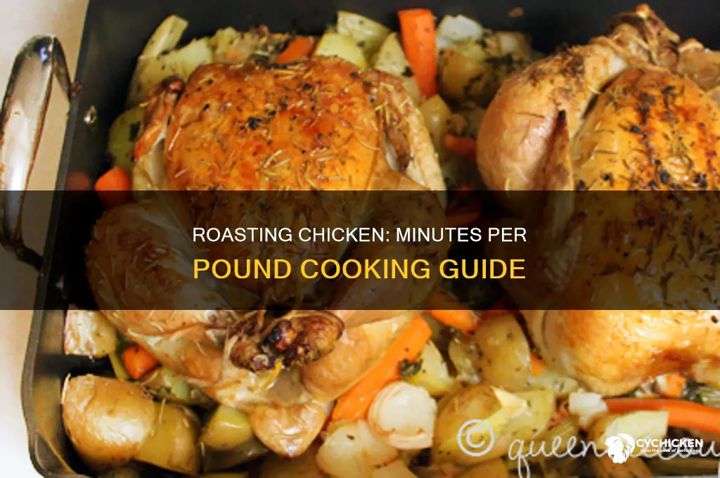 Roasting Chicken: Minutes Per Pound Cooking Guide | CyChicken