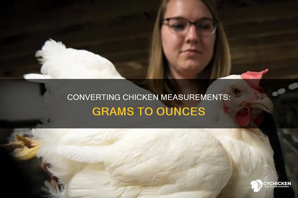Converting Chicken Measurements: Grams To Ounces | CyChicken