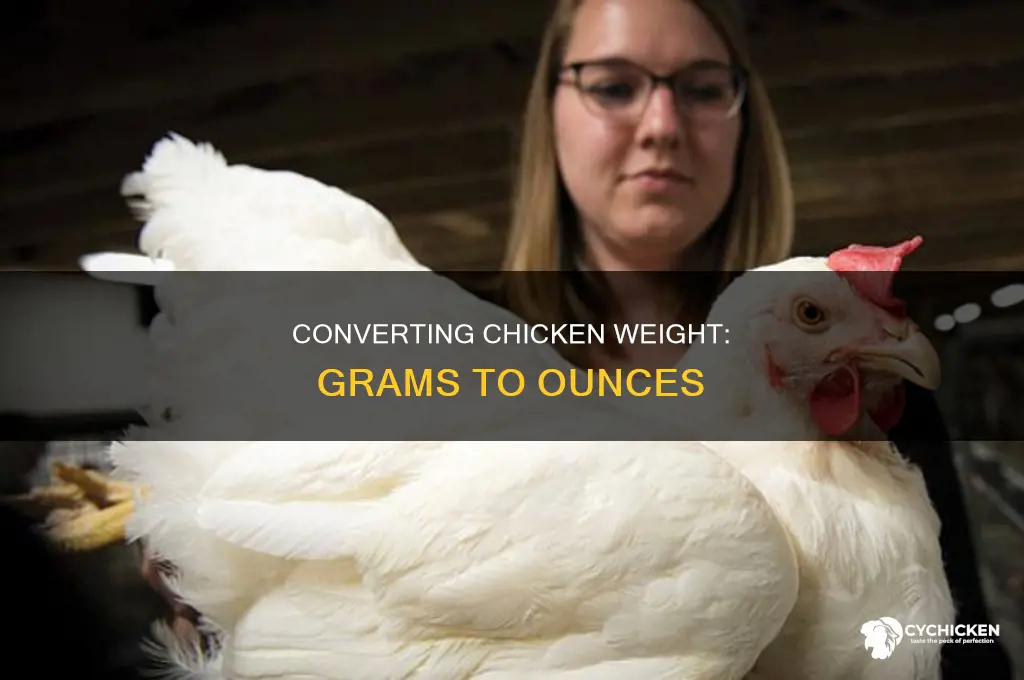 Converting Chicken Weight: Grams To Ounces | CyChicken