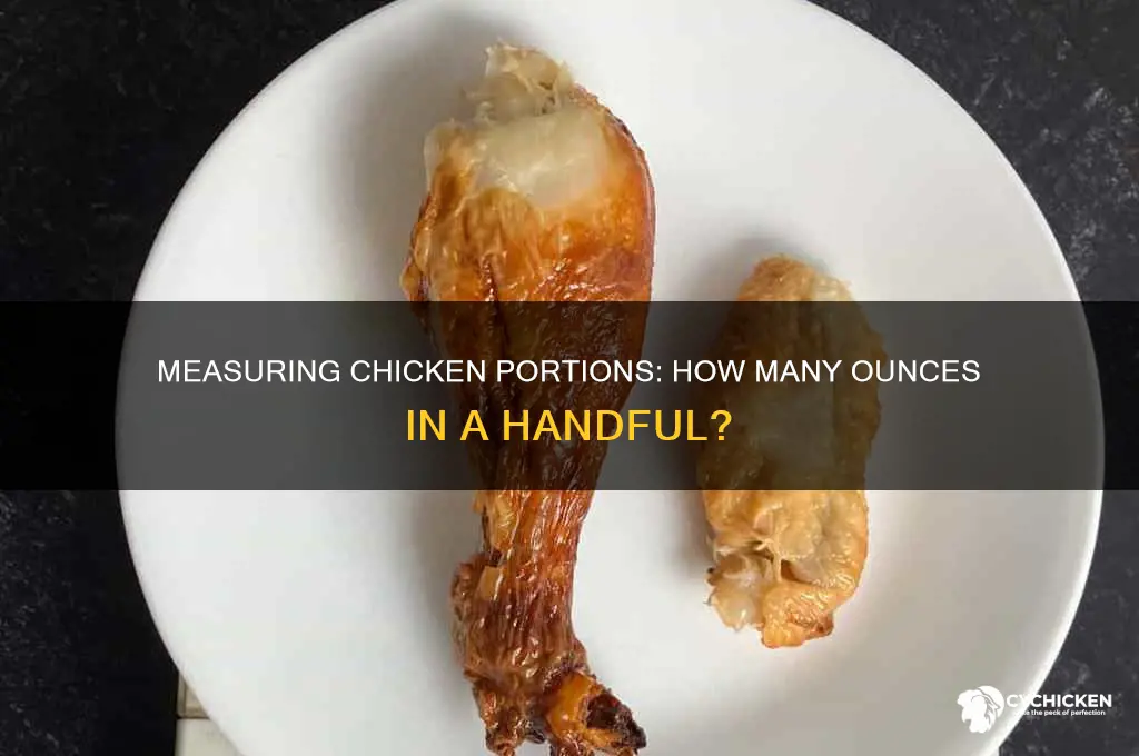 Measuring Chicken Portions: How Many Ounces In A Handful? | CyChicken