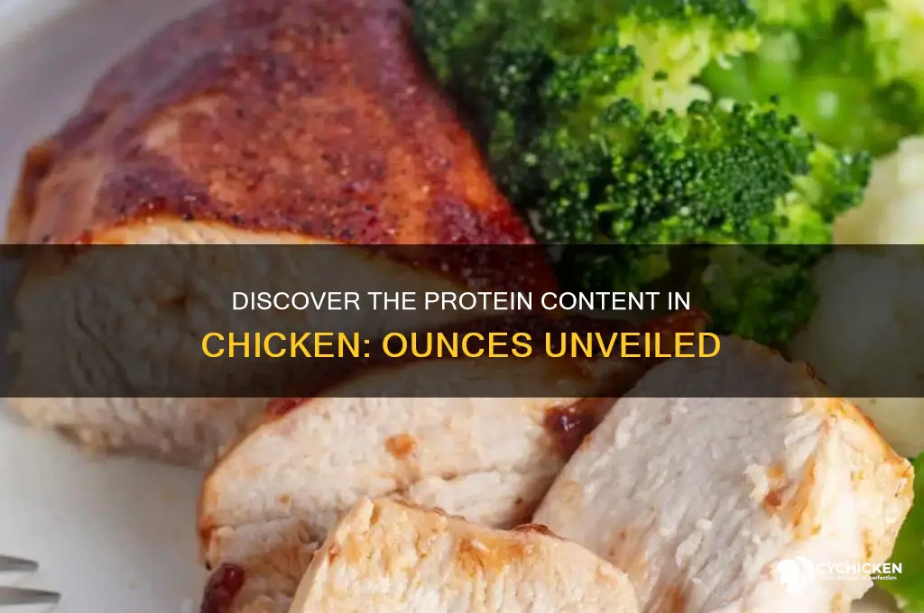 Discover The Protein Content In Chicken: Ounces Unveiled | CyChicken