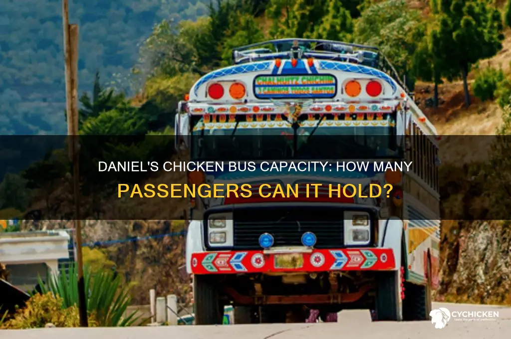 Daniel's Chicken Bus Capacity: How Many Passengers Can It Hold? | CyChicken