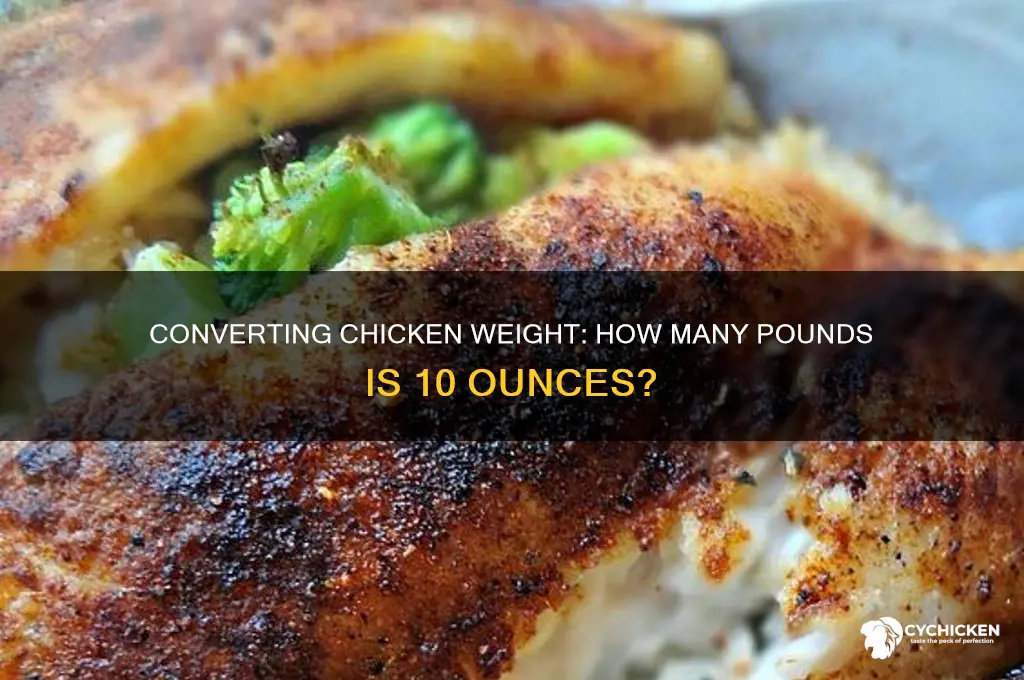 Converting Chicken Weight: How Many Pounds Is 10 Ounces? | CyChicken