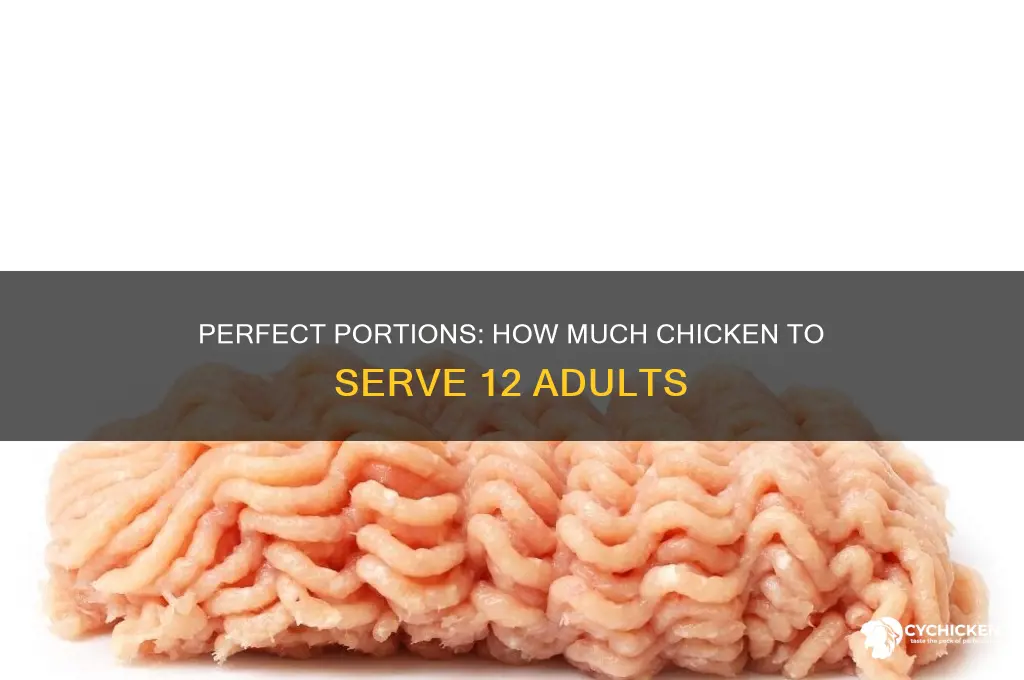 Perfect Portions: How Much Chicken To Serve 12 Adults | CyChicken