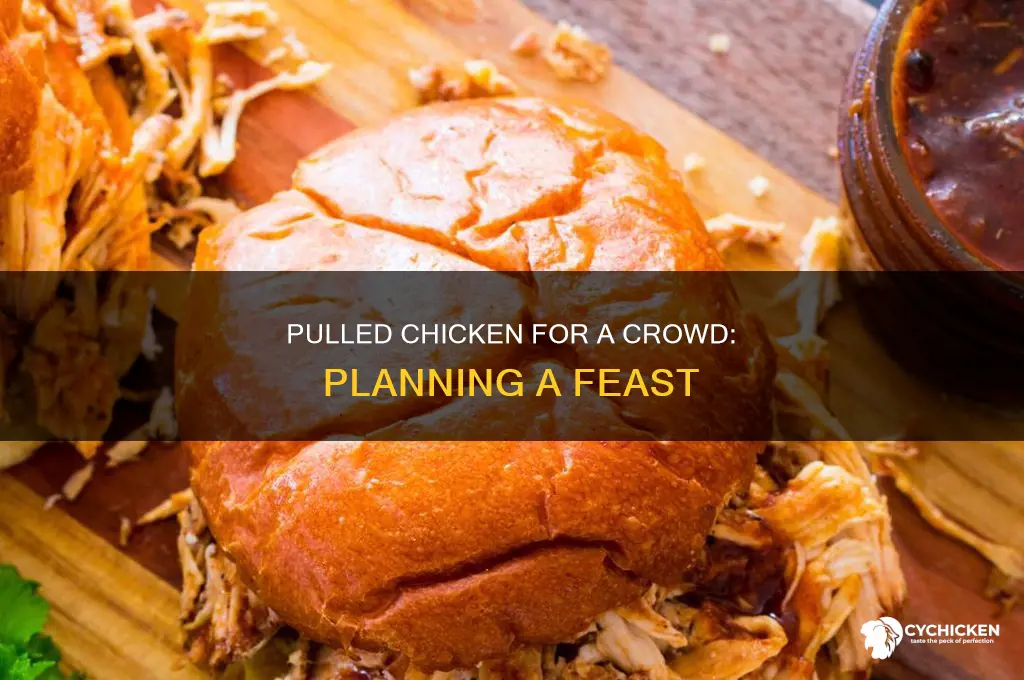 Pulled Chicken For A Crowd: Planning A Feast | CyChicken