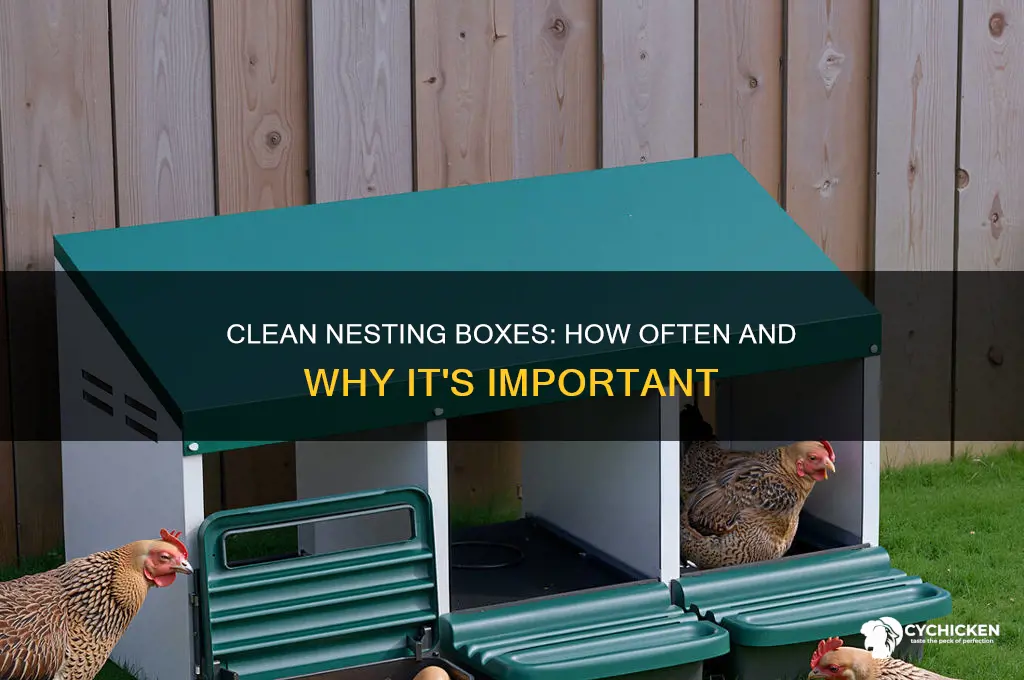 Clean Nesting Boxes: How Often And Why It's Important | CyChicken