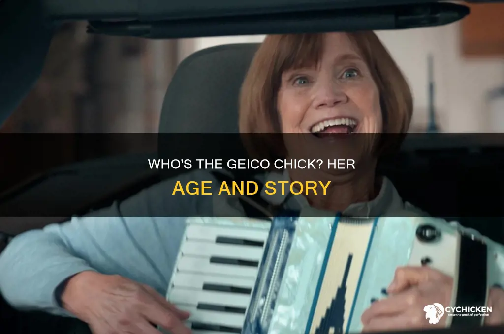 Who's The Geico Chick? Her Age And Story | CyChicken