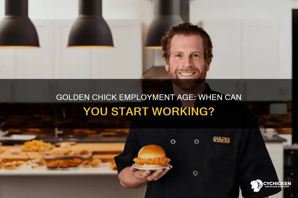 Golden Chick Employment Age: When Can You Start Working? | CyChicken