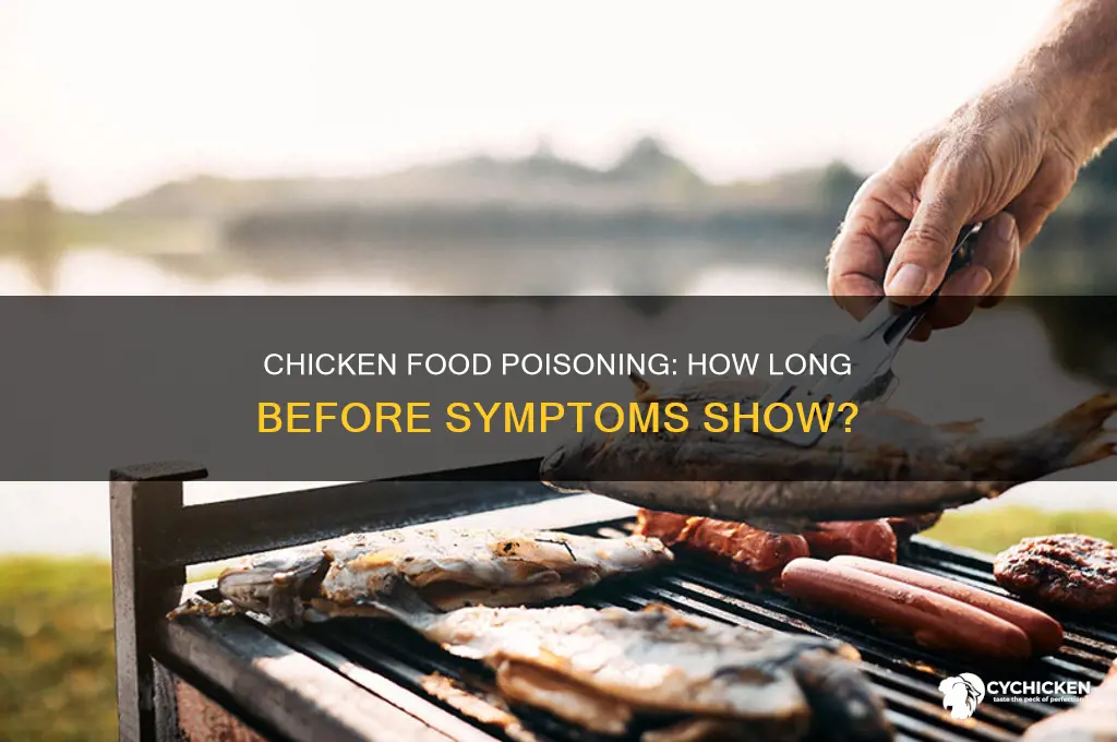 Chicken Food Poisoning: How Long Before Symptoms Show? | CyChicken
