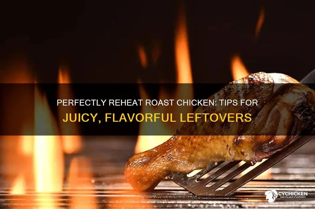 Perfectly Reheat Roast Chicken: Tips For Juicy, Flavorful Leftovers ...