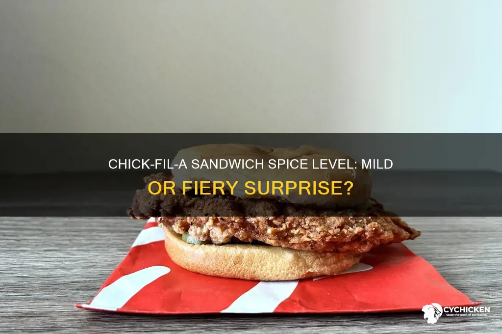 Chick-Fil-A Sandwich Spice Level: Mild Or Fiery Surprise? | CyChicken