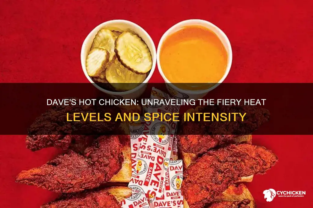 Dave's Hot Chicken: Unraveling The Fiery Heat Levels And Spice ...