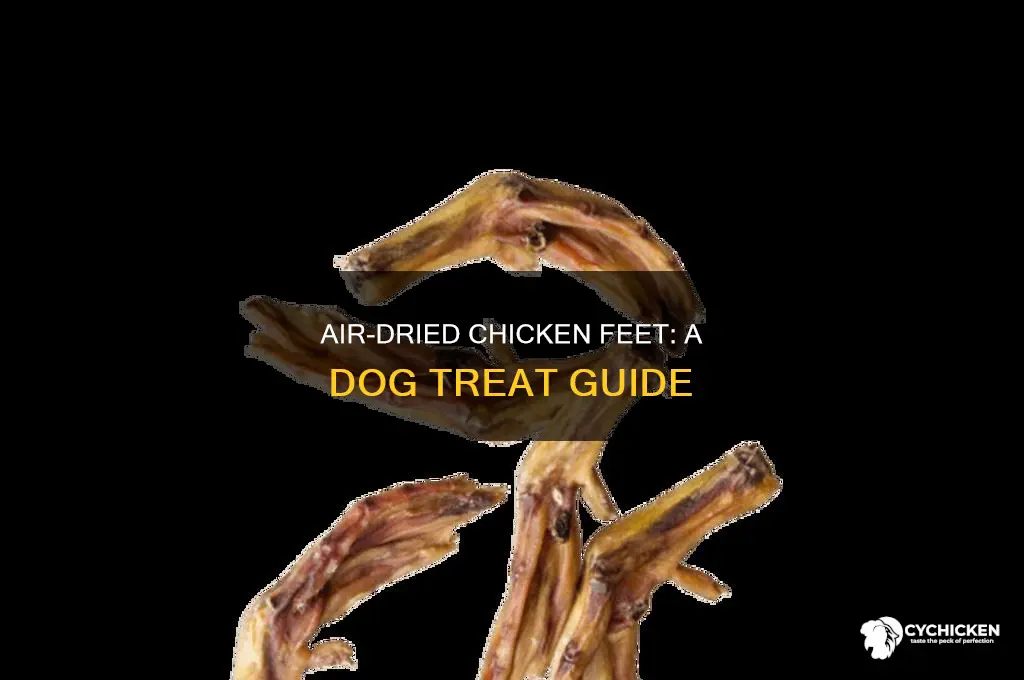 Air-Dried Chicken Feet: A Dog Treat Guide | CyChicken