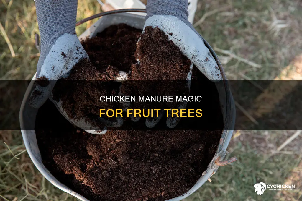 Chicken Manure Magic For Fruit Trees | CyChicken
