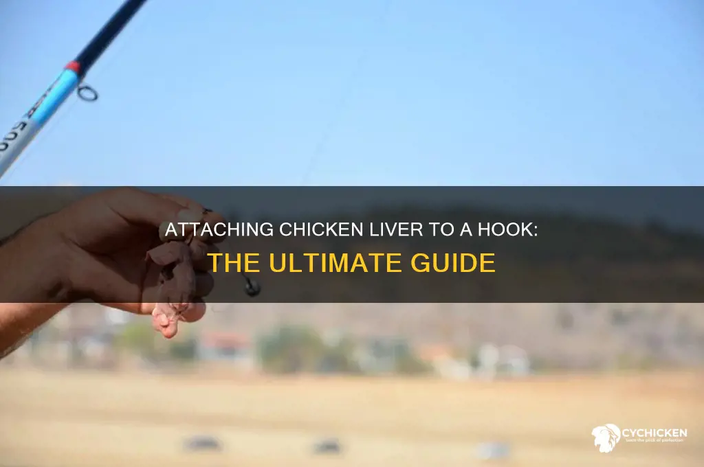 Attaching Chicken Liver To A Hook: The Ultimate Guide | CyChicken