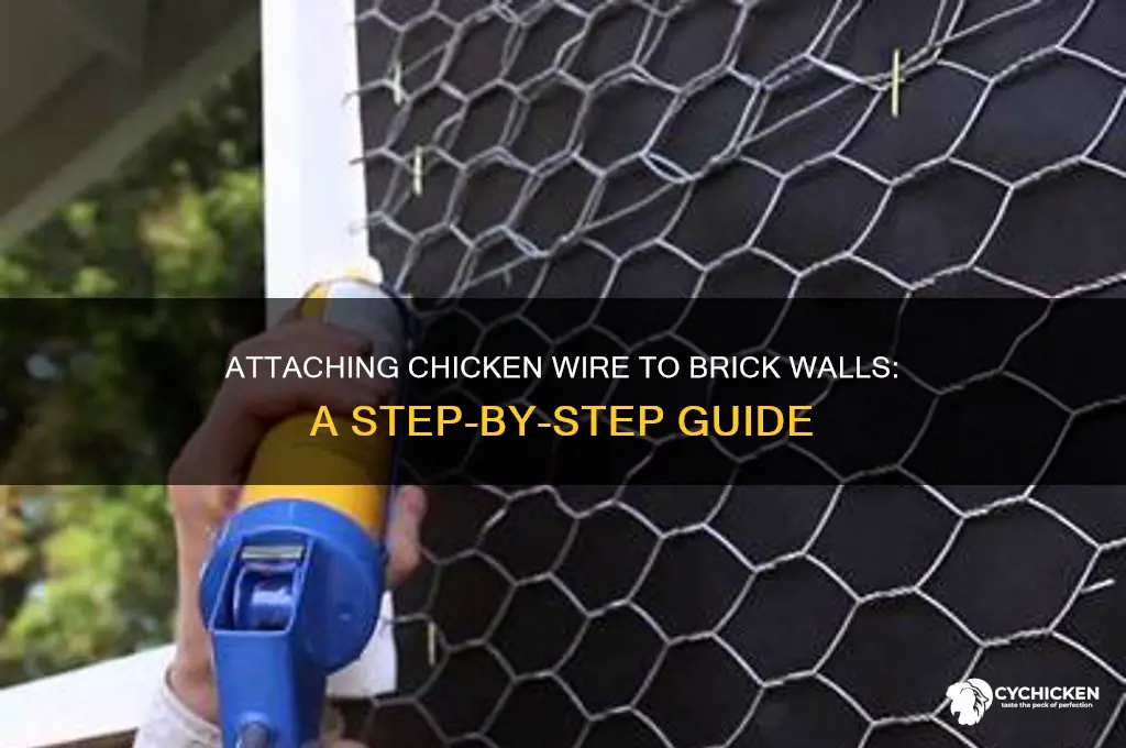 Attaching Chicken Wire To Brick Walls: A Step-By-Step Guide | CyChicken
