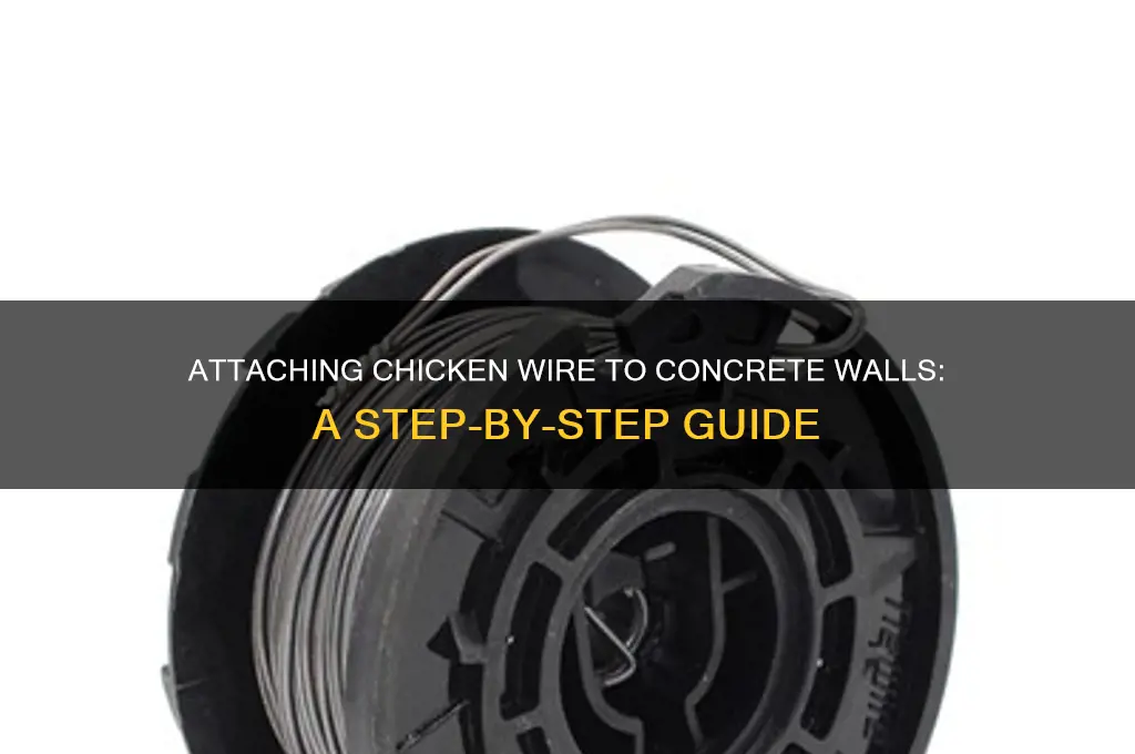 Attaching Chicken Wire To Concrete Walls: A Step-By-Step Guide | CyChicken