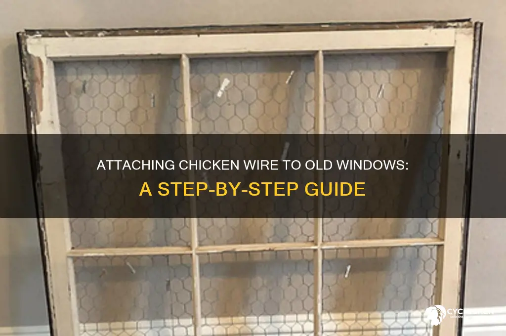 Attaching Chicken Wire To Old Windows: A Step-By-Step Guide | CyChicken