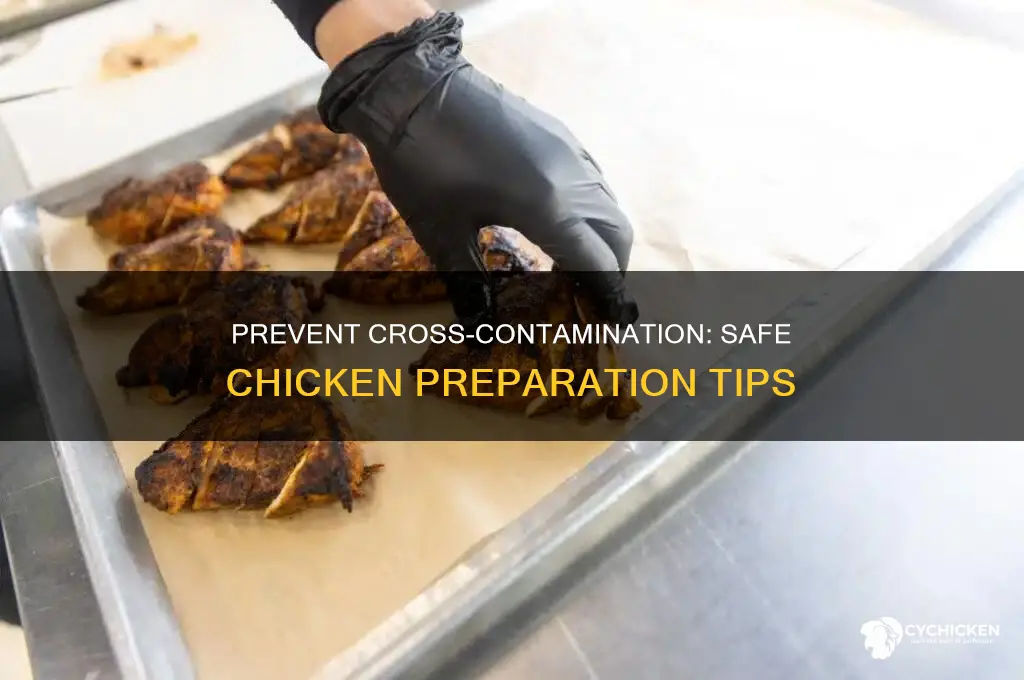 Prevent Cross-Contamination: Safe Chicken Preparation Tips | CyChicken