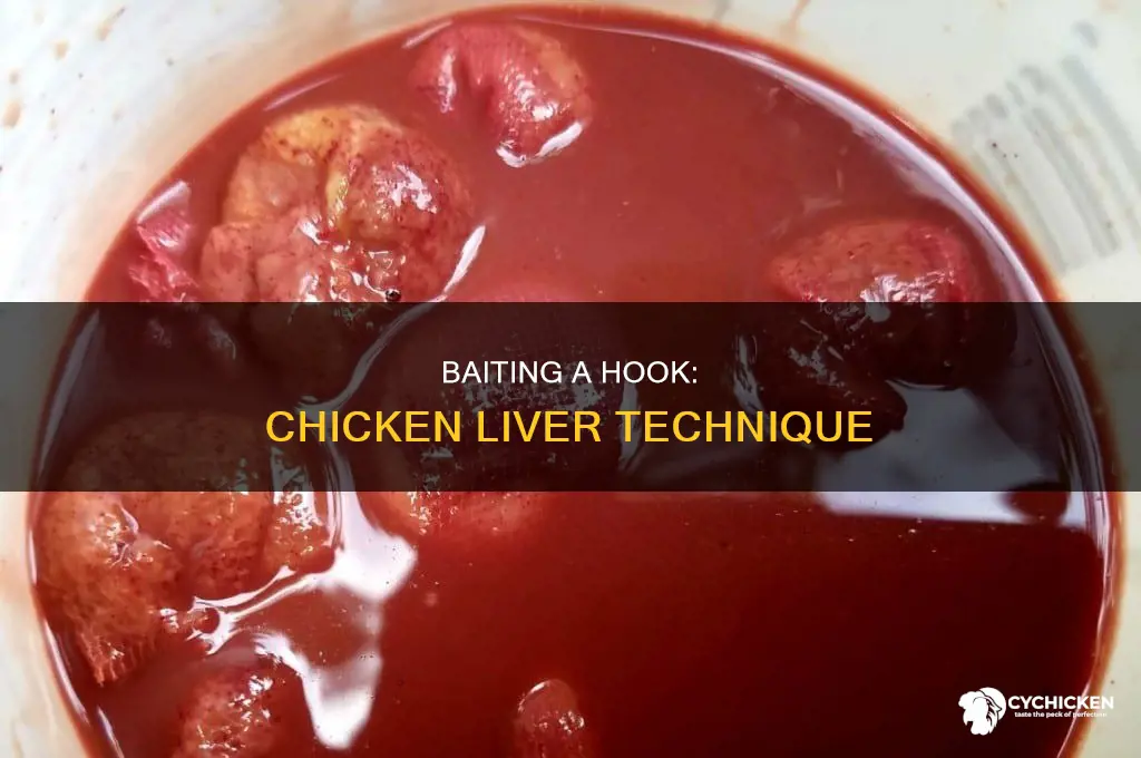 Baiting A Hook: Chicken Liver Technique | CyChicken