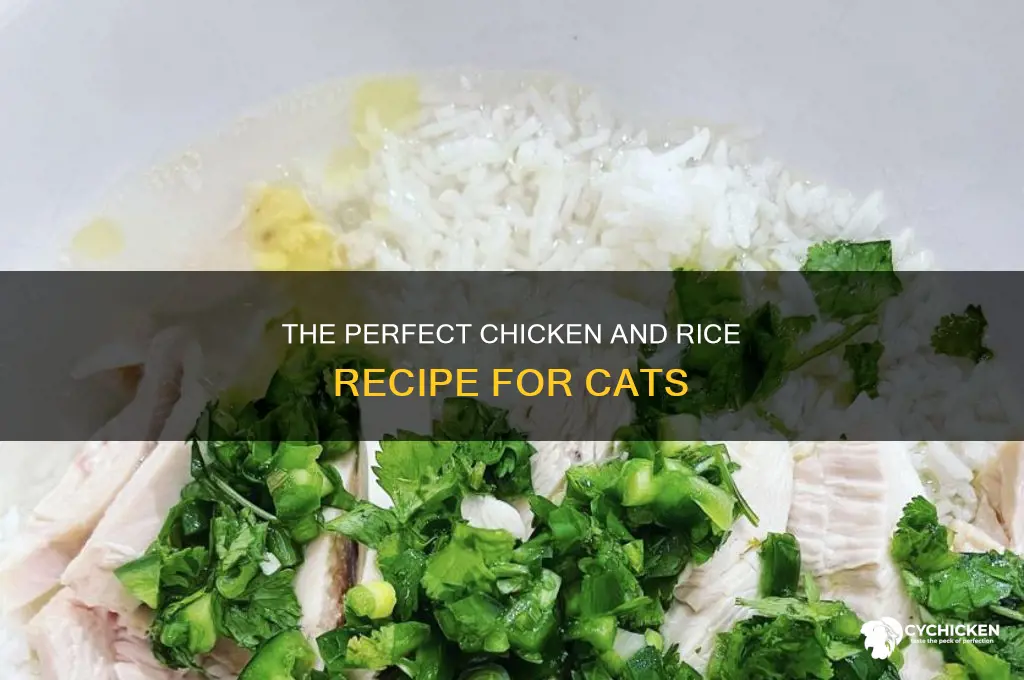 The Perfect Chicken And Rice Recipe For Cats | CyChicken