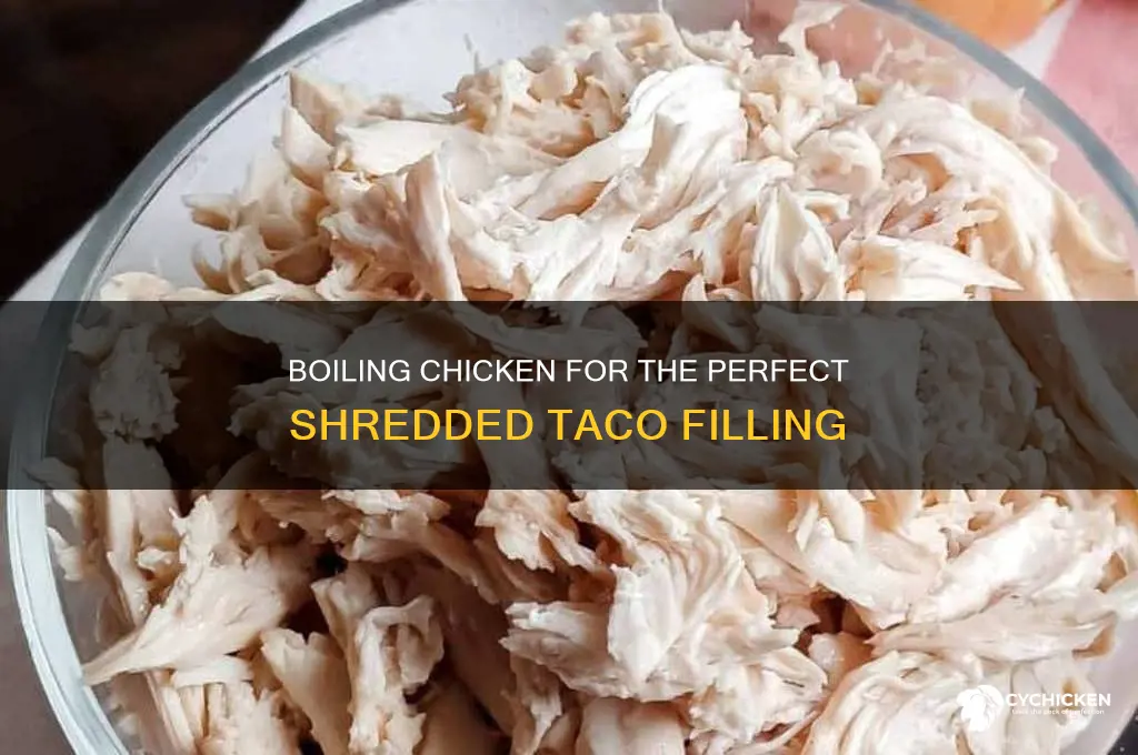 Boiling Chicken For The Perfect Shredded Taco Filling | CyChicken