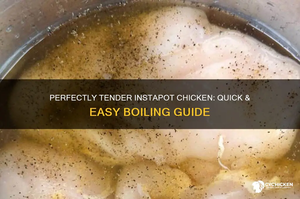 Perfectly Tender Instapot Chicken: Quick & Easy Boiling Guide | CyChicken