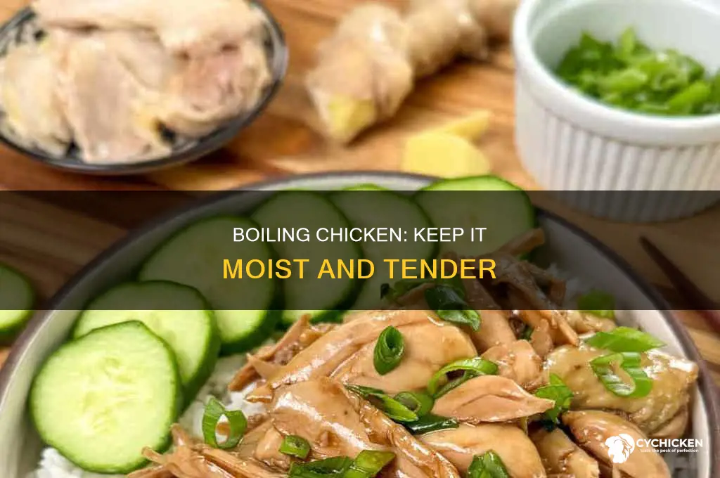 Boiling Chicken: Keep It Moist And Tender | CyChicken