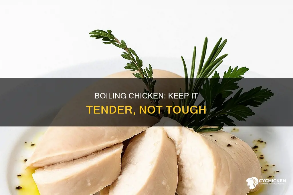 Boiling Chicken: Keep It Tender, Not Tough | CyChicken