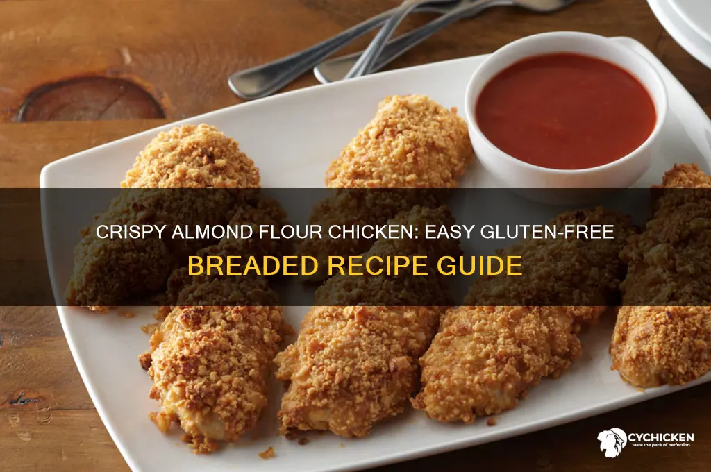 Crispy Almond Flour Chicken: Easy Gluten-Free Breaded Recipe Guide ...
