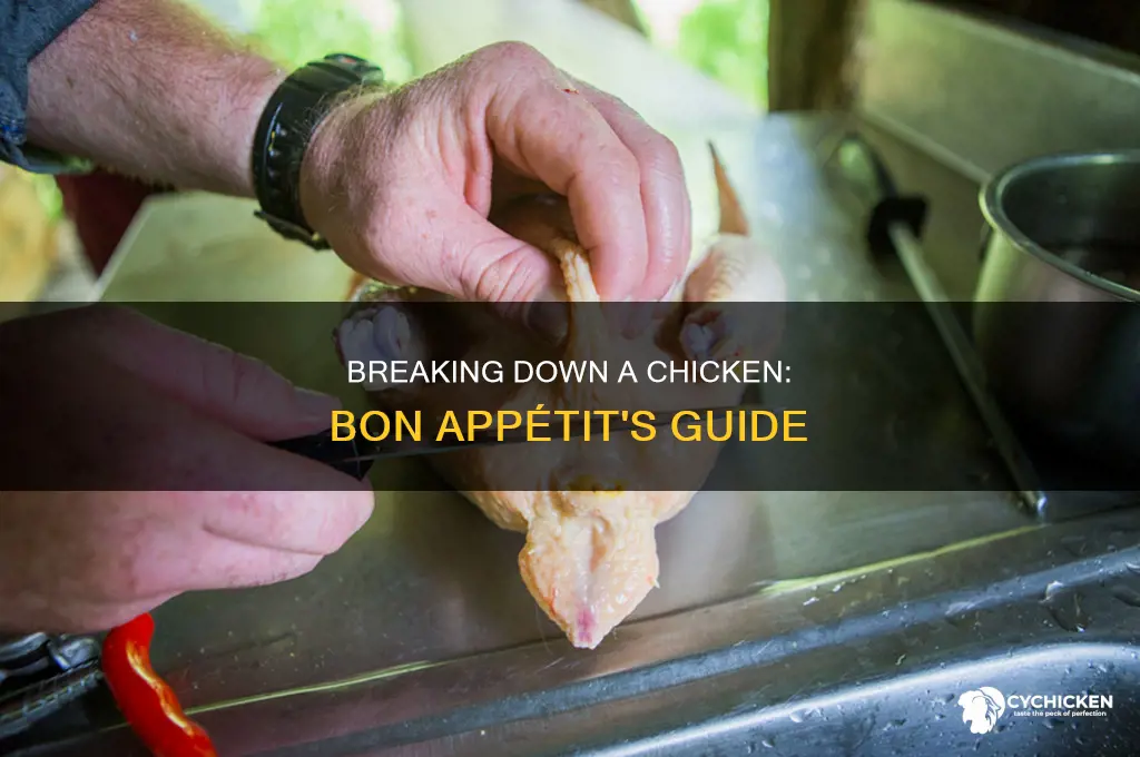 Elegant Breaking Down A Chicken Gallery