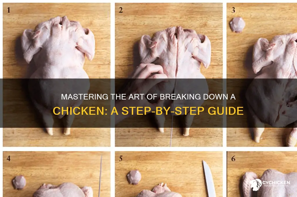 Elegant Breaking Down A Chicken Gallery