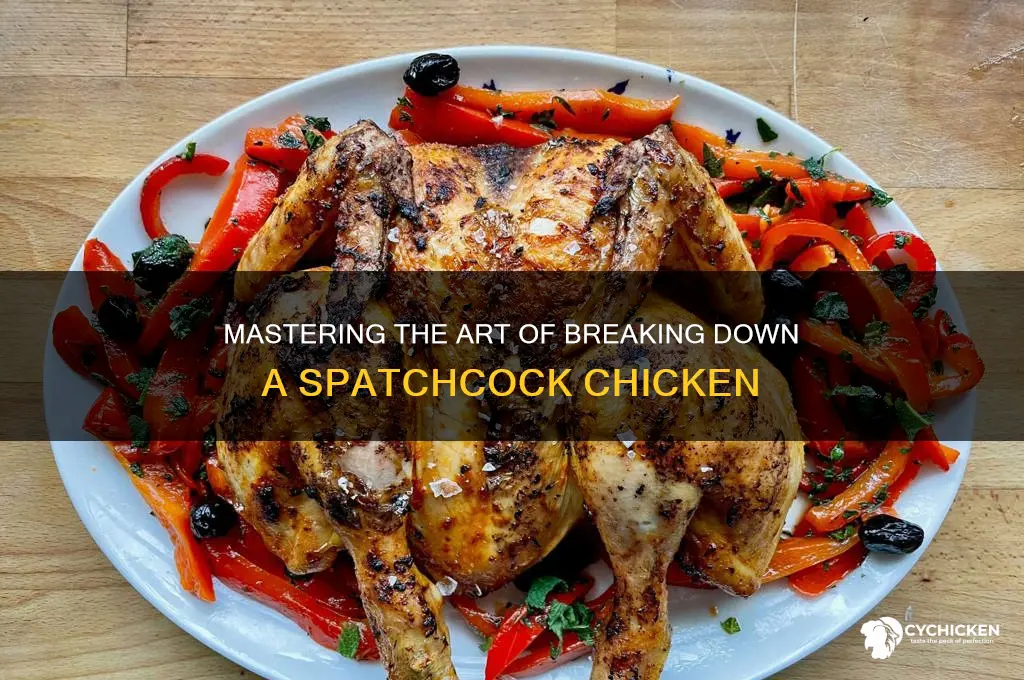Elegant Breaking Down A Chicken Gallery