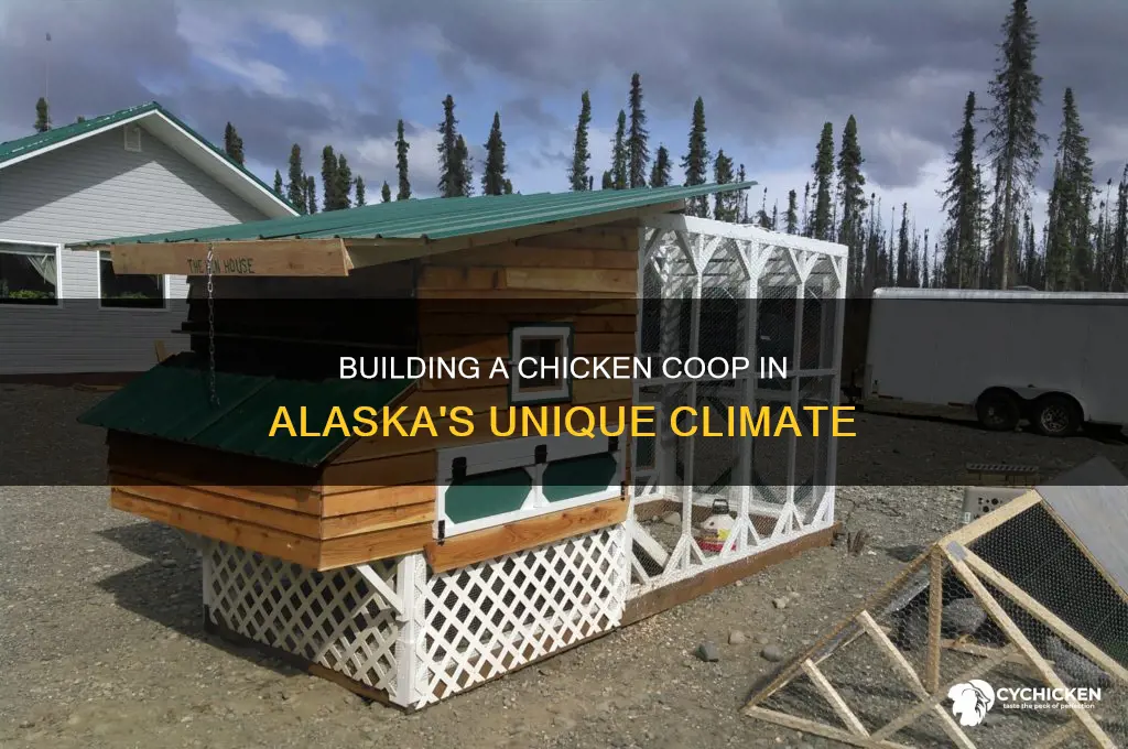 Building A Chicken Coop In Alaska's Unique Climate | CyChicken