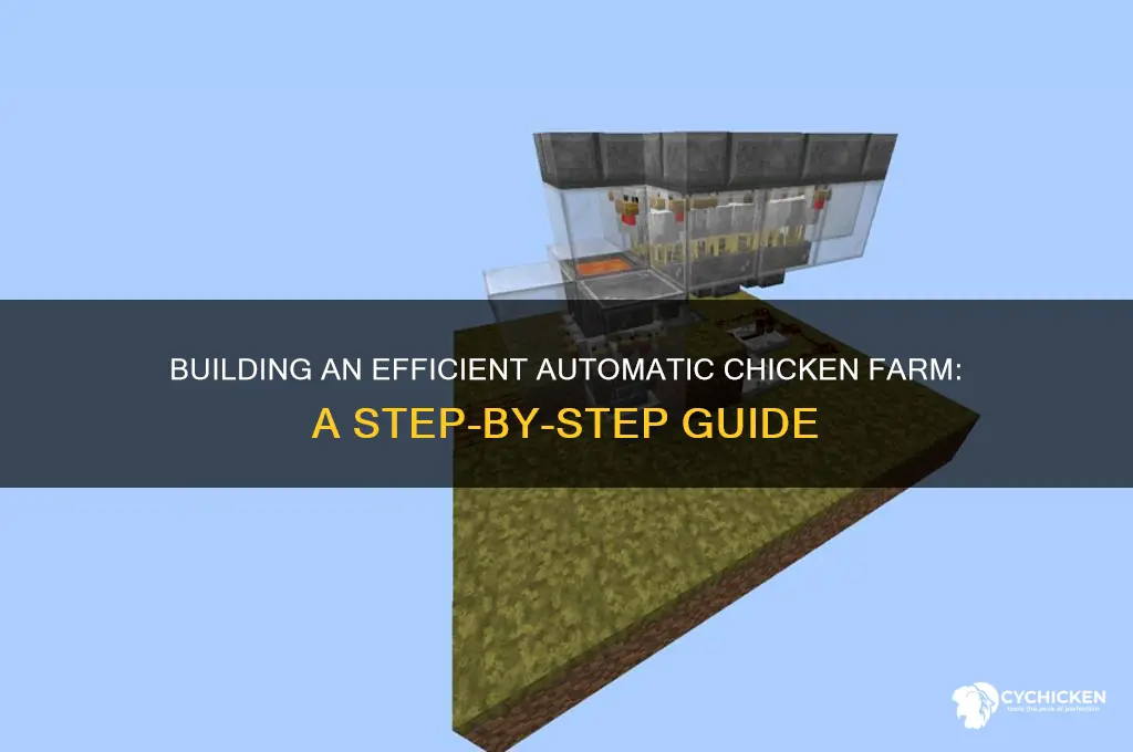 Building An Efficient Automatic Chicken Farm: A Step-By-Step Guide ...