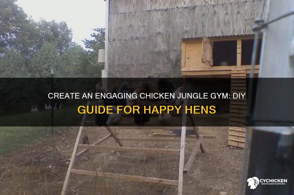 Create An Engaging Chicken Jungle Gym: Diy Guide For Happy Hens | CyChicken