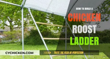 Diy Chicken Layer Cage: Step-By-Step Guide For Happy Hens | CyChicken