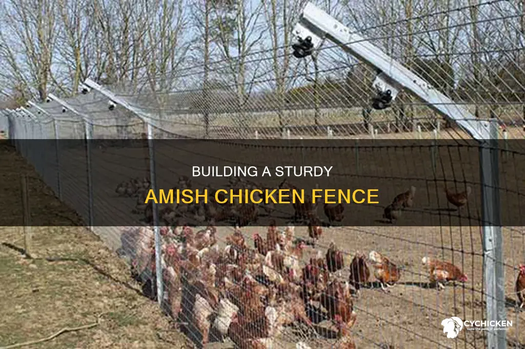 Building A Sturdy Amish Chicken Fence | CyChicken