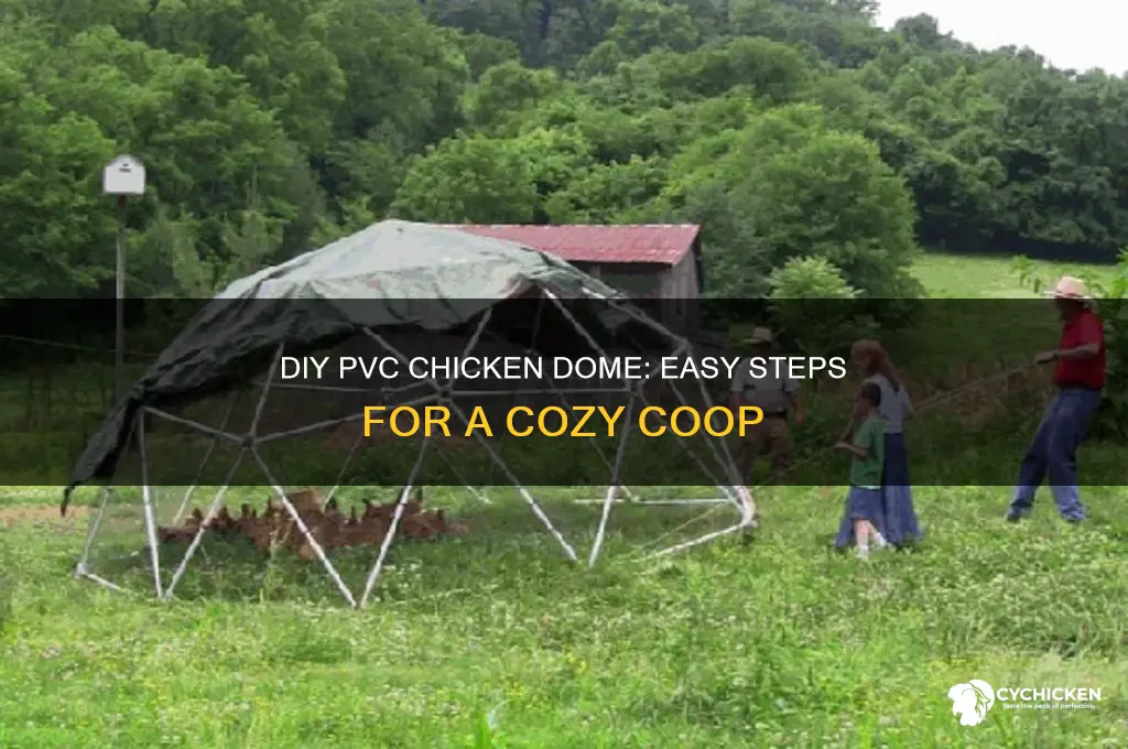 Diy Pvc Chicken Dome: Easy Steps For A Cozy Coop | CyChicken