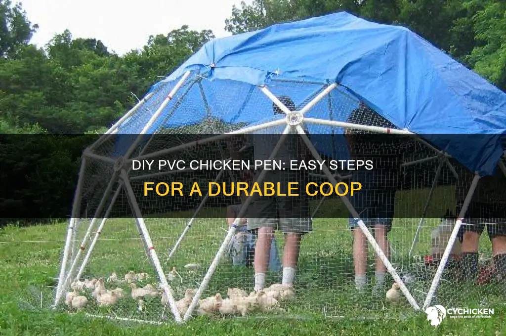 Diy Pvc Chicken Pen: Easy Steps For A Durable Coop | CyChicken