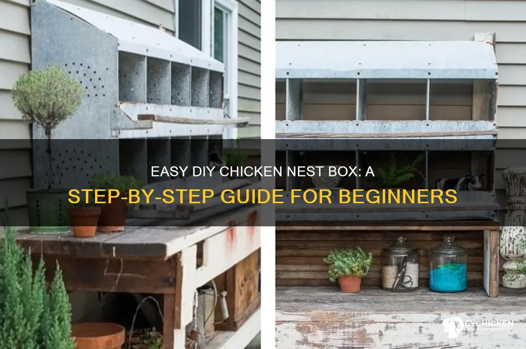 Easy Diy Chicken Nest Box: A Step-By-Step Guide For Beginners | CyChicken
