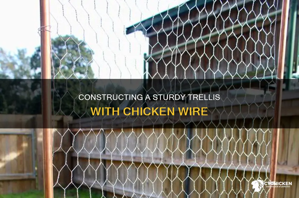 Constructing A Sturdy Trellis With Chicken Wire | CyChicken