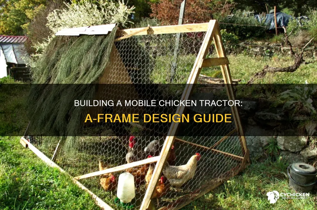 Building A Mobile Chicken Tractor: A-Frame Design Guide | CyChicken