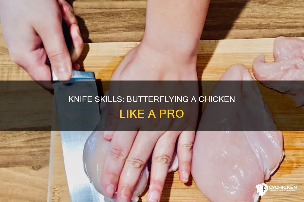 Knife Skills: Butterflying A Chicken Like A Pro | CyChicken