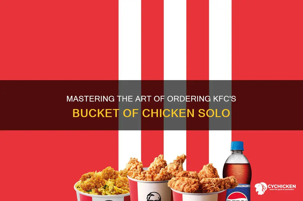Mastering The Art Of Ordering Kfc's Bucket Of Chicken Solo | CyChicken